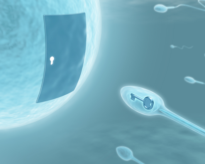 Where To Find Hyaluronidase - ACE UK